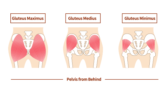 Gluteus Medius/Minimus Repair - Dr. Adam Anz