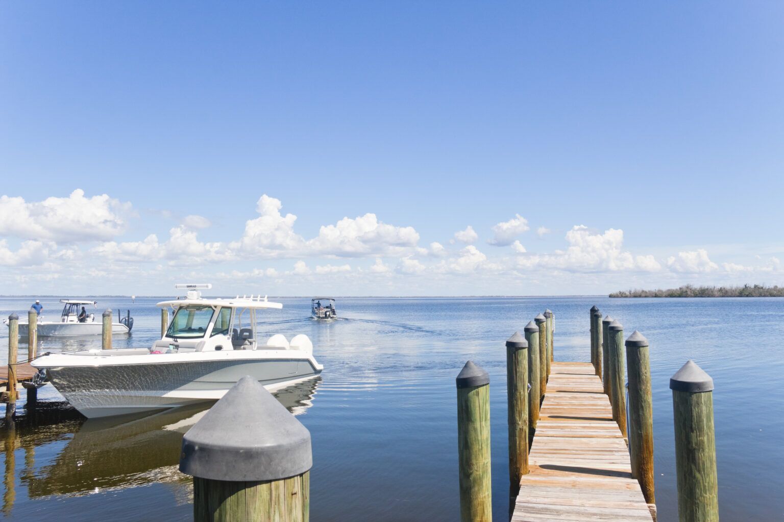 Rehabilitation Protocol: Superior Labral (SLAP) Repair Protocol with ...